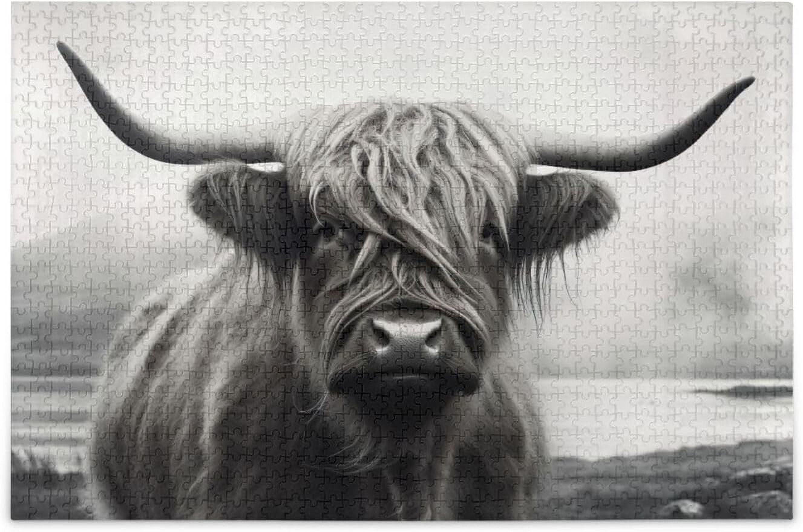 Dreamtimes Puzzle- Funny Scottish Highland Cow Jigsaw Puzzles, 500 ...