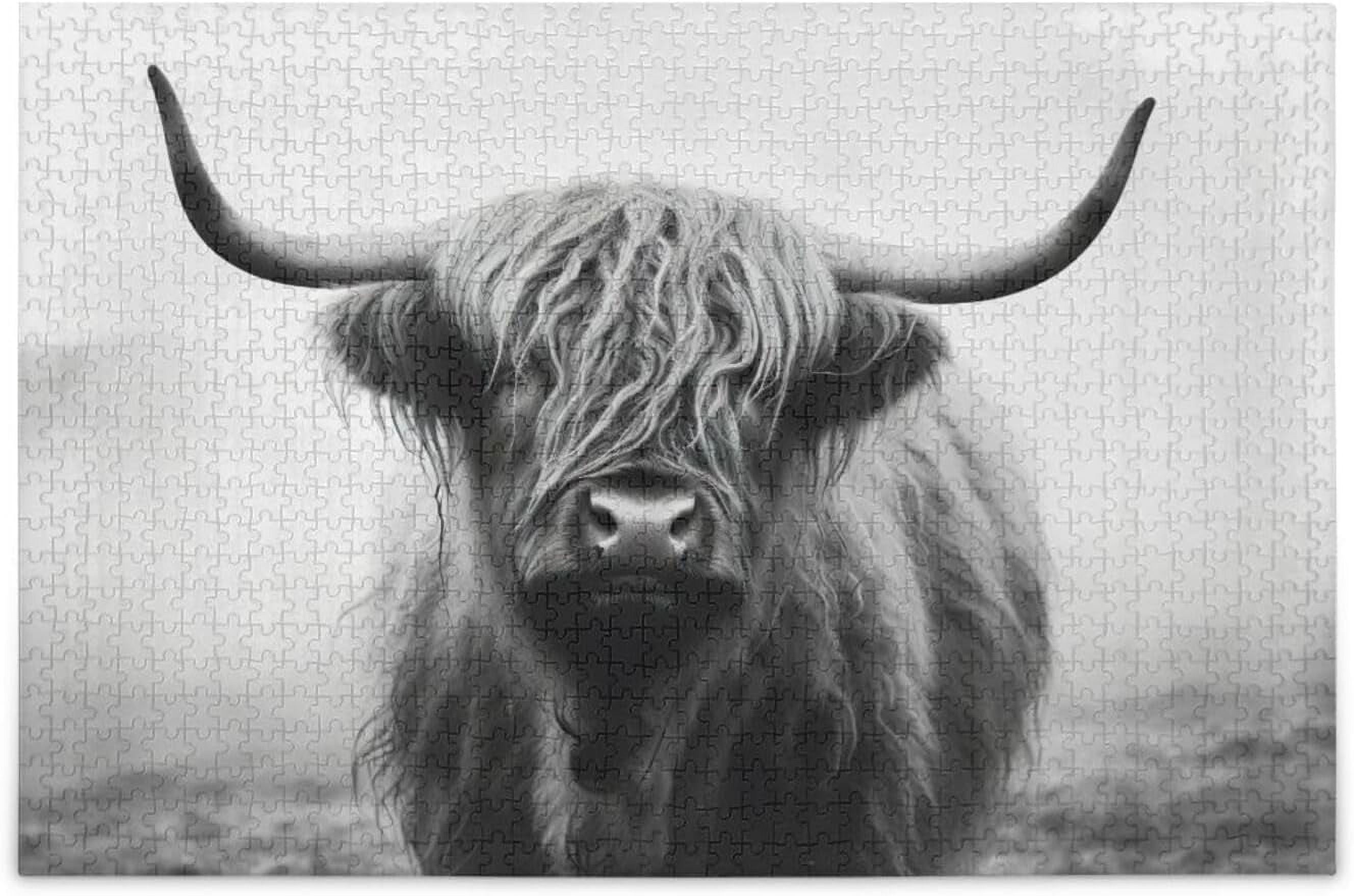 Dreamtimes Puzzle- Highland Cow Jigsaw Puzzles,1000 Piece Puzzles for ...