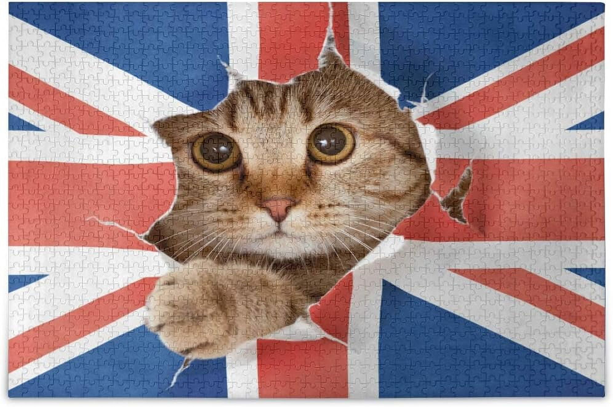 Dreamtimes Puzzles for Adults 1000 Piece Funny Cute Cat Animal Jigsaw ...