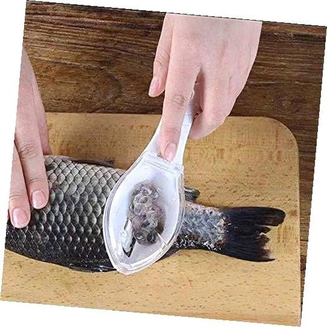 Dreamtimes Quick Fish Skin Brush Plastic Fish Scale Scraper Easy ...
