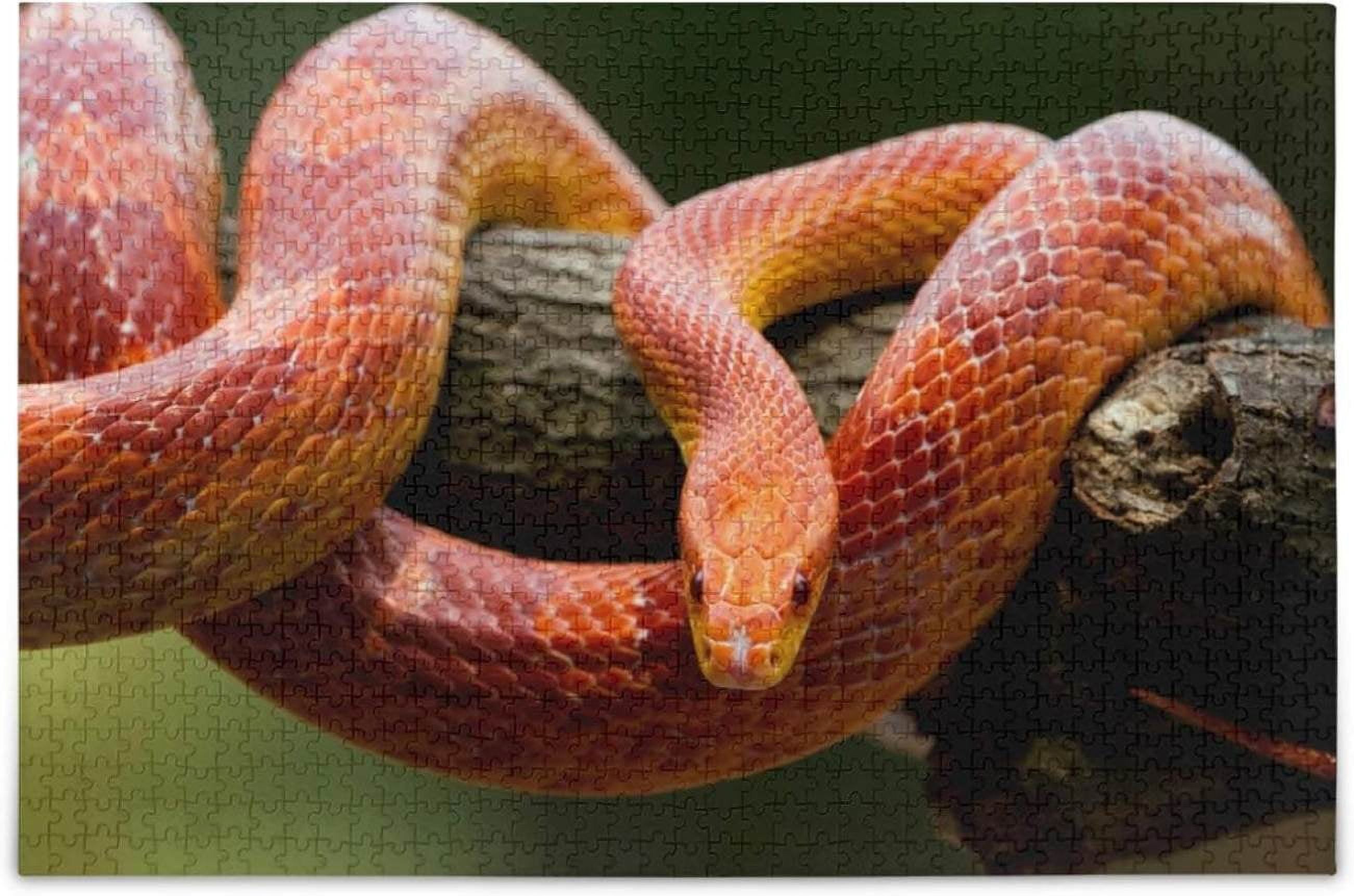 Dreamtimes Red Corn Snake Jigsaw Puzzles for Adults 1000 Pieces ...