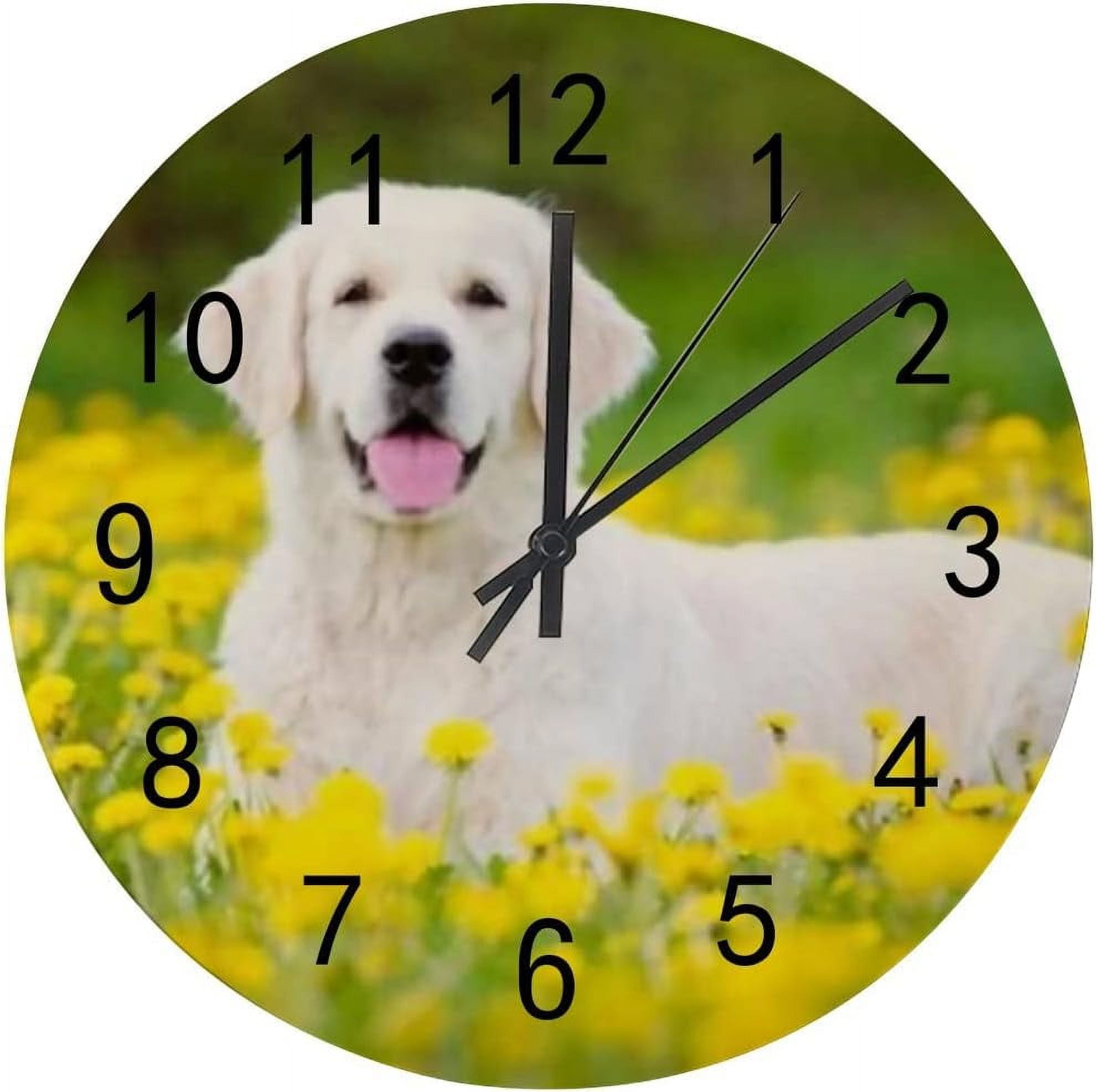 Dreamtimes Silent Wooden Round Wall Clock, 12 Inch Beautiful Golden ...