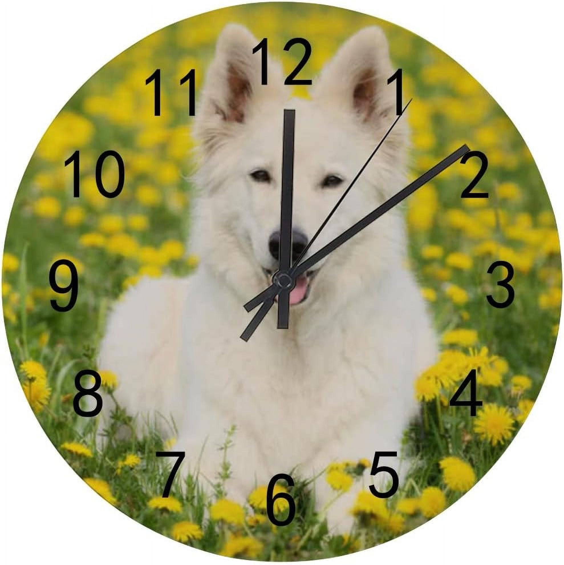 Dreamtimes Silent Wooden Round Wall Clock, 12 Inch White Swiss Shepherd ...