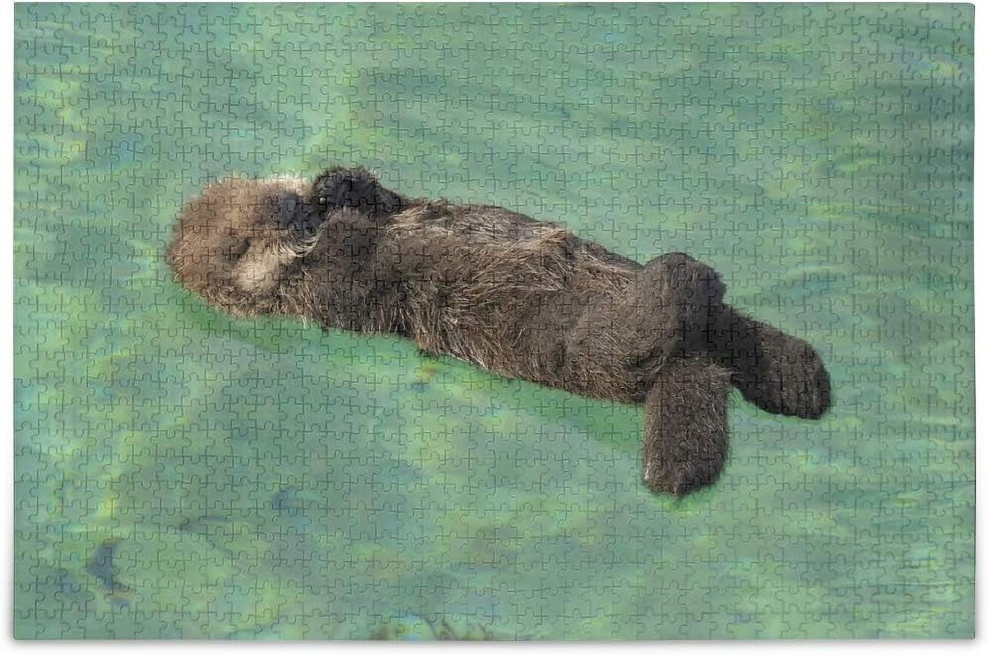Dreamtimes Southern Sea Otter Floating Sleep in Clear Water Jigsaw ...