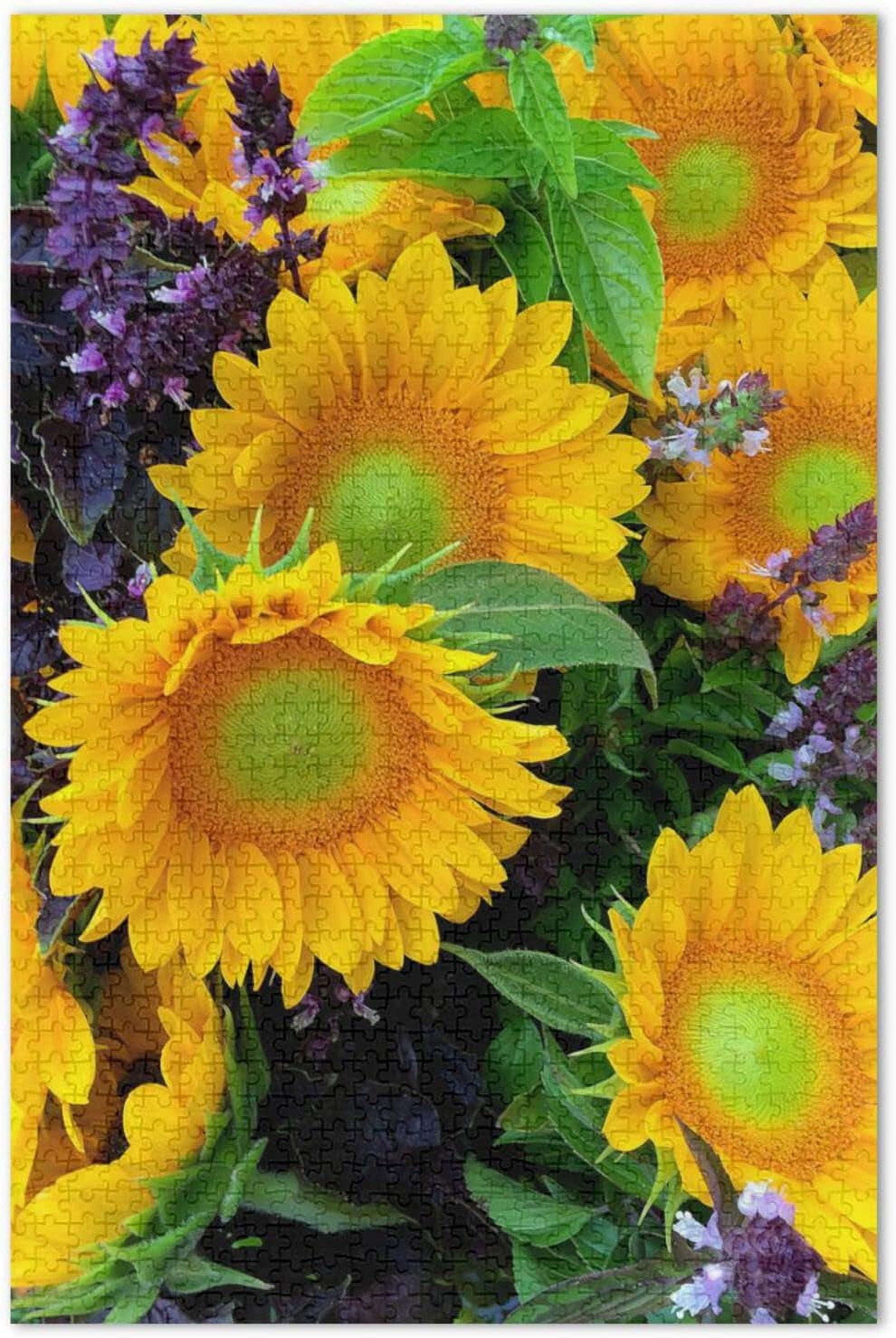 Dreamtimes Sunflowers Realic 1000 Piece Jigsaw Puzzle, Wall Artwork ...