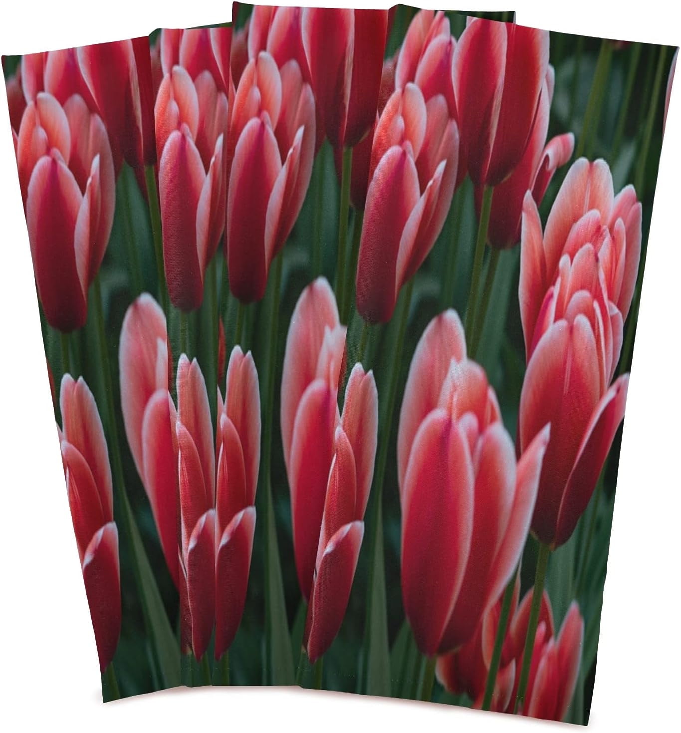 Dreamtimes Tulips Red Flower Kitchen Dish Towels, 18 Inch x 28 Inch ...