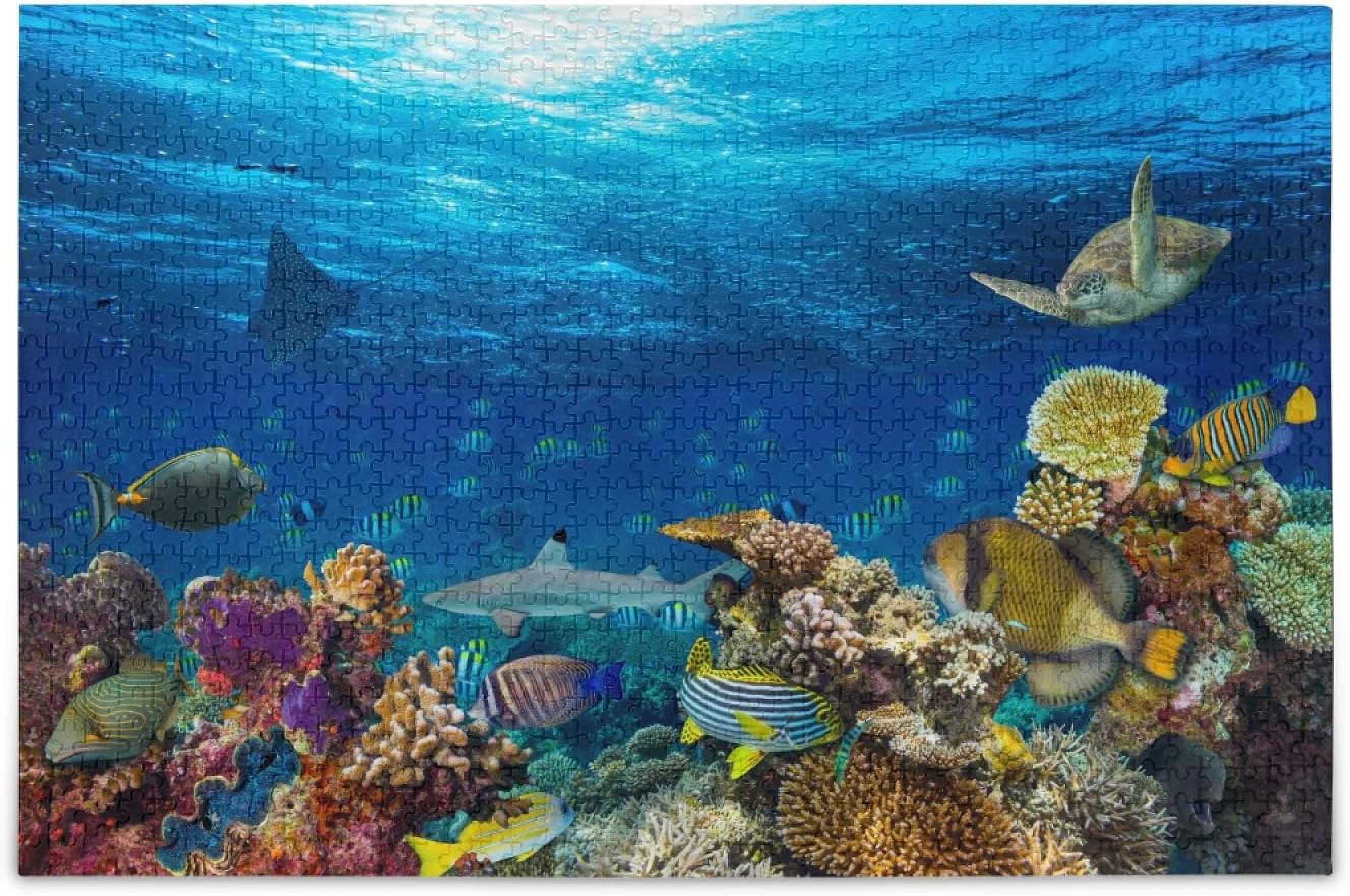 Dreamtimes Underwater Fish Marine Life Puzzle for Adults 1000 Piece ...