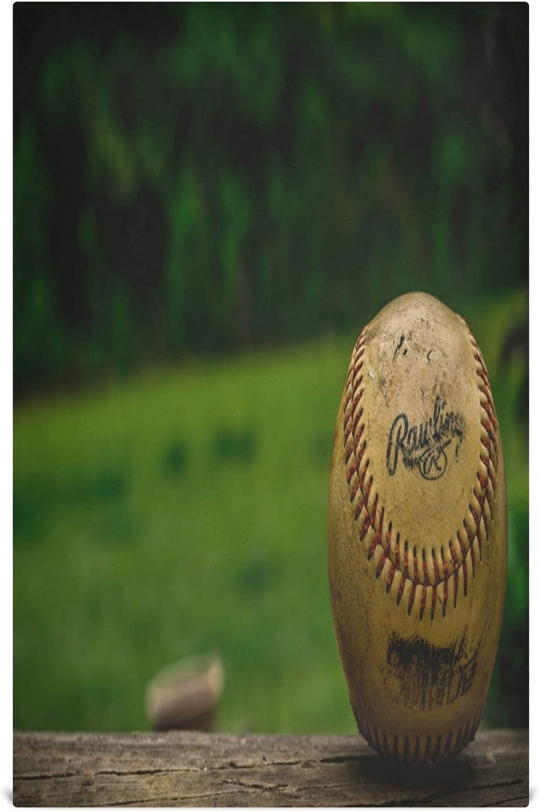 Dreamtimes Vintage Baseball Kitchen Dish Towels, 18 Inch x 28 Inch ...