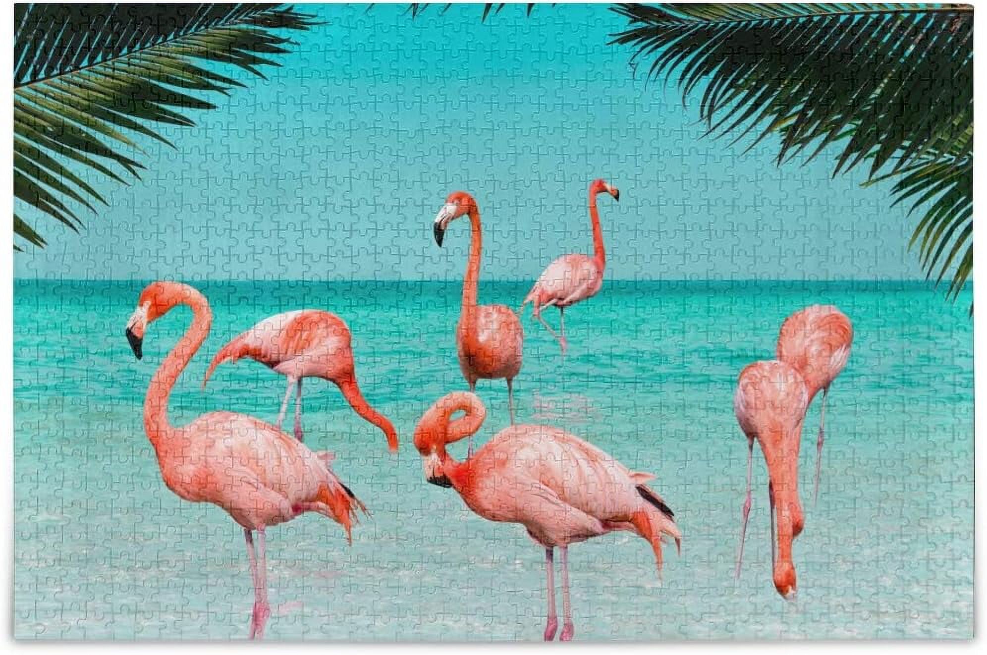 Dreamtimes Vintage Retro Flamingo in Clear Blue Sea with Sunny Sky ...