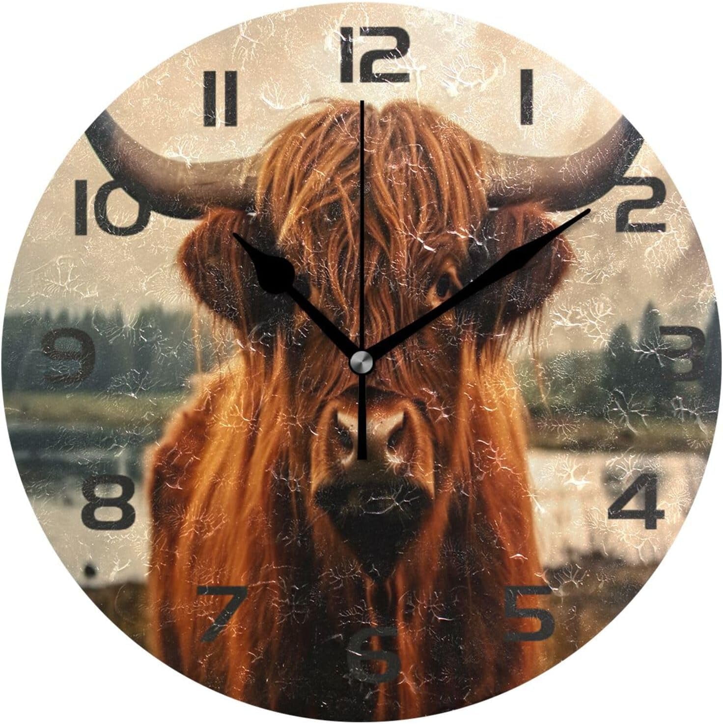Dreamtimes Wall Clock Highland Cow 10 Inch Silent Non Ticking Quality ...