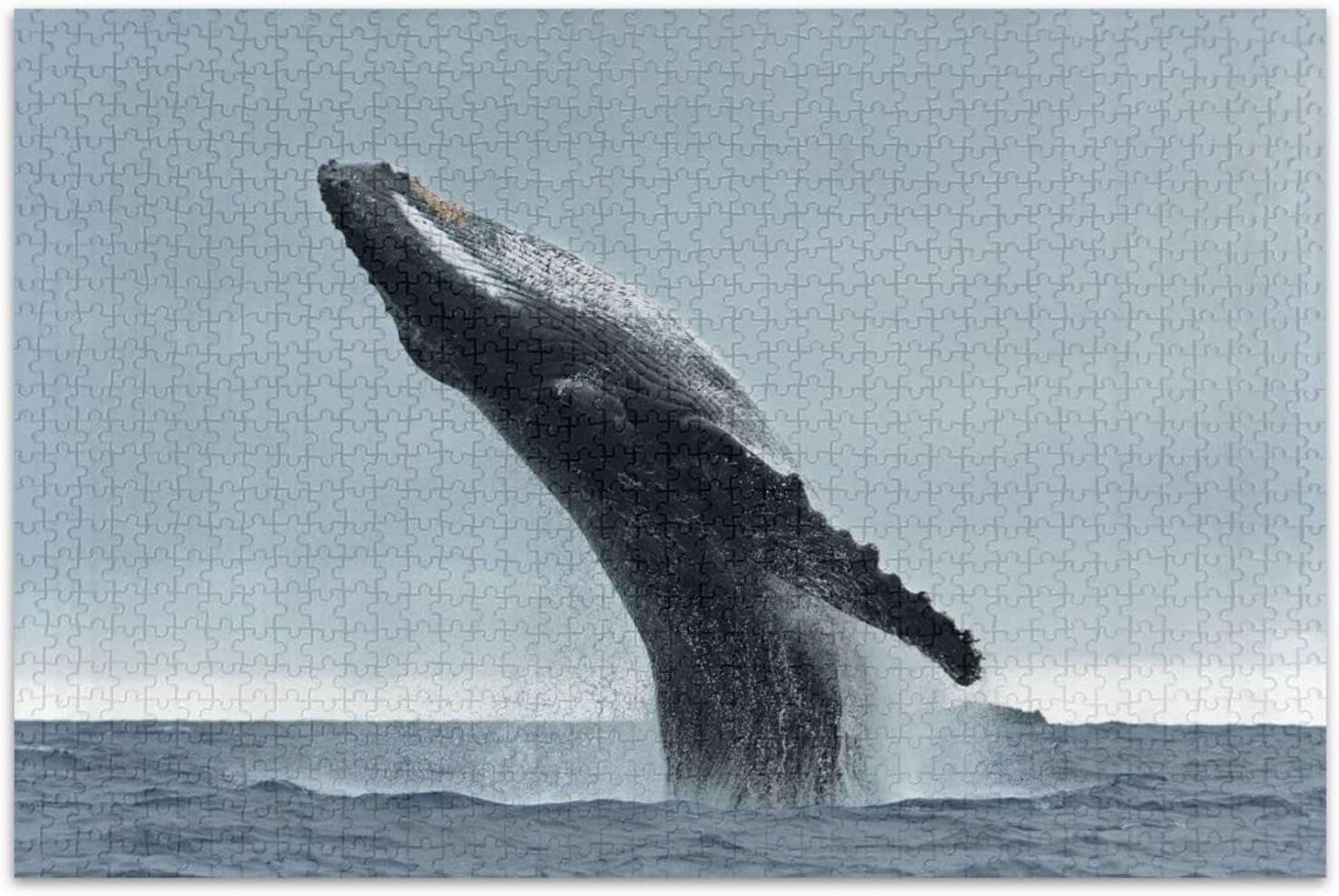 Dreamtimes Whale 1000 Piece Jigsaw Puzzle, Wall Artwork Puzzle Games for Adults Teens 29.5" L X ...