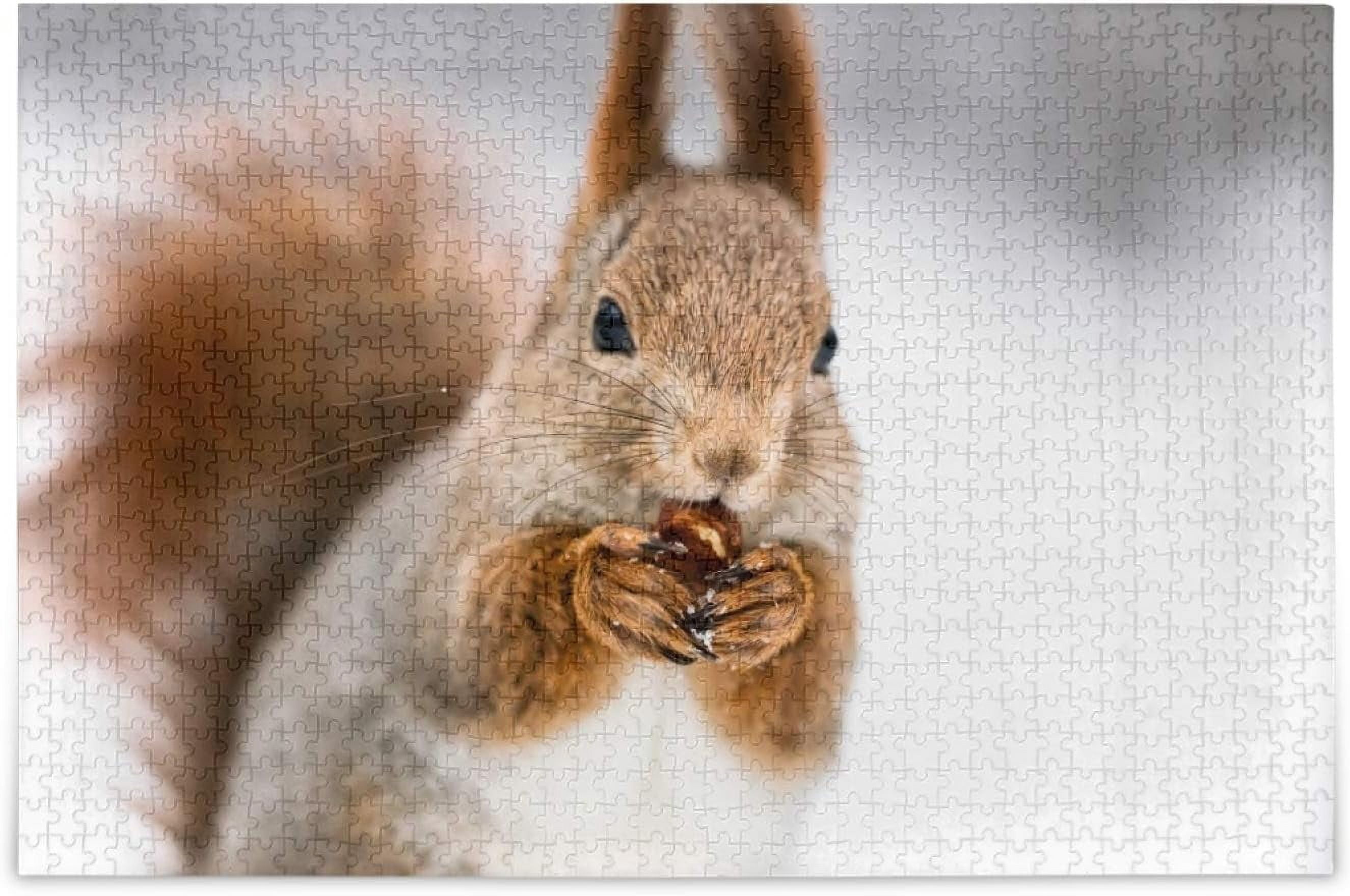 Dreamtimes Winter Animal Cute Squirrel Puzzle for Adults 1000 Piece ...