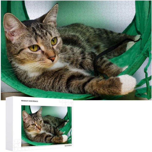 Dreamtimes Wooden Jigsaw Puzzles 1000 Pieces Cat in The Green Tunnel ...