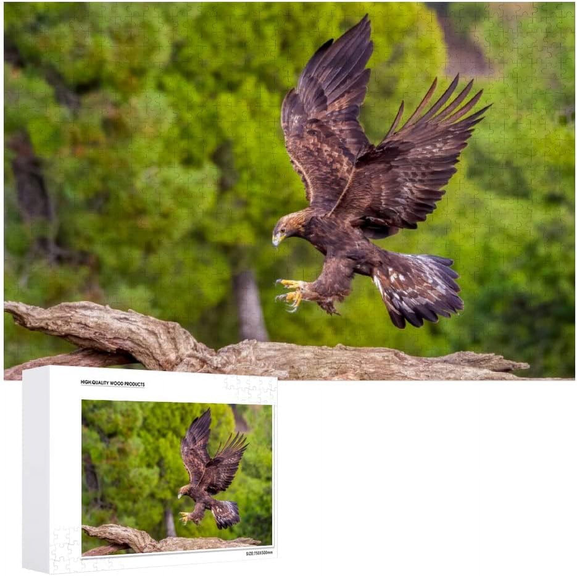 Dreamtimes Wooden Jigsaw Puzzles 1000 Pieces, Eagle in Landing to The ...
