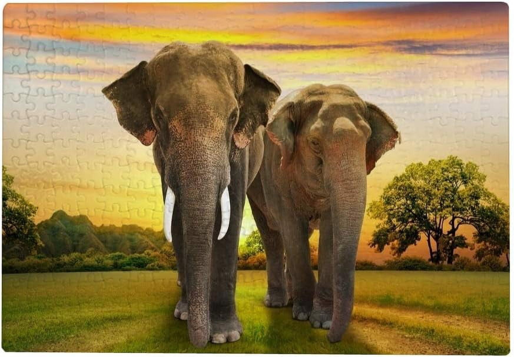 Dreamtimes Wooden Jigsaw Puzzles 1000 Pieces Elephants Family On Sunset ...