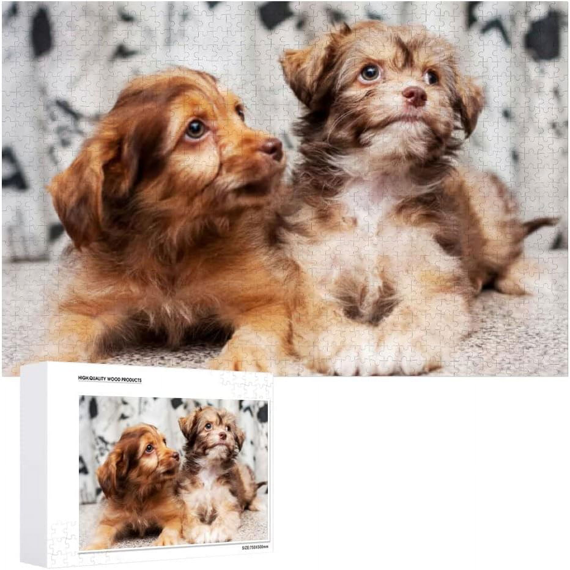 Dreamtimes Wooden Jigsaw Puzzles 1000 Pieces Funny Fluffy Puppy Dog ...