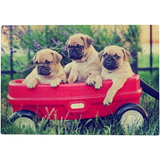 Dreamtimes Wooden Jigsaw Puzzles 1000 Pieces Pug Chihuahuas in A Red ...