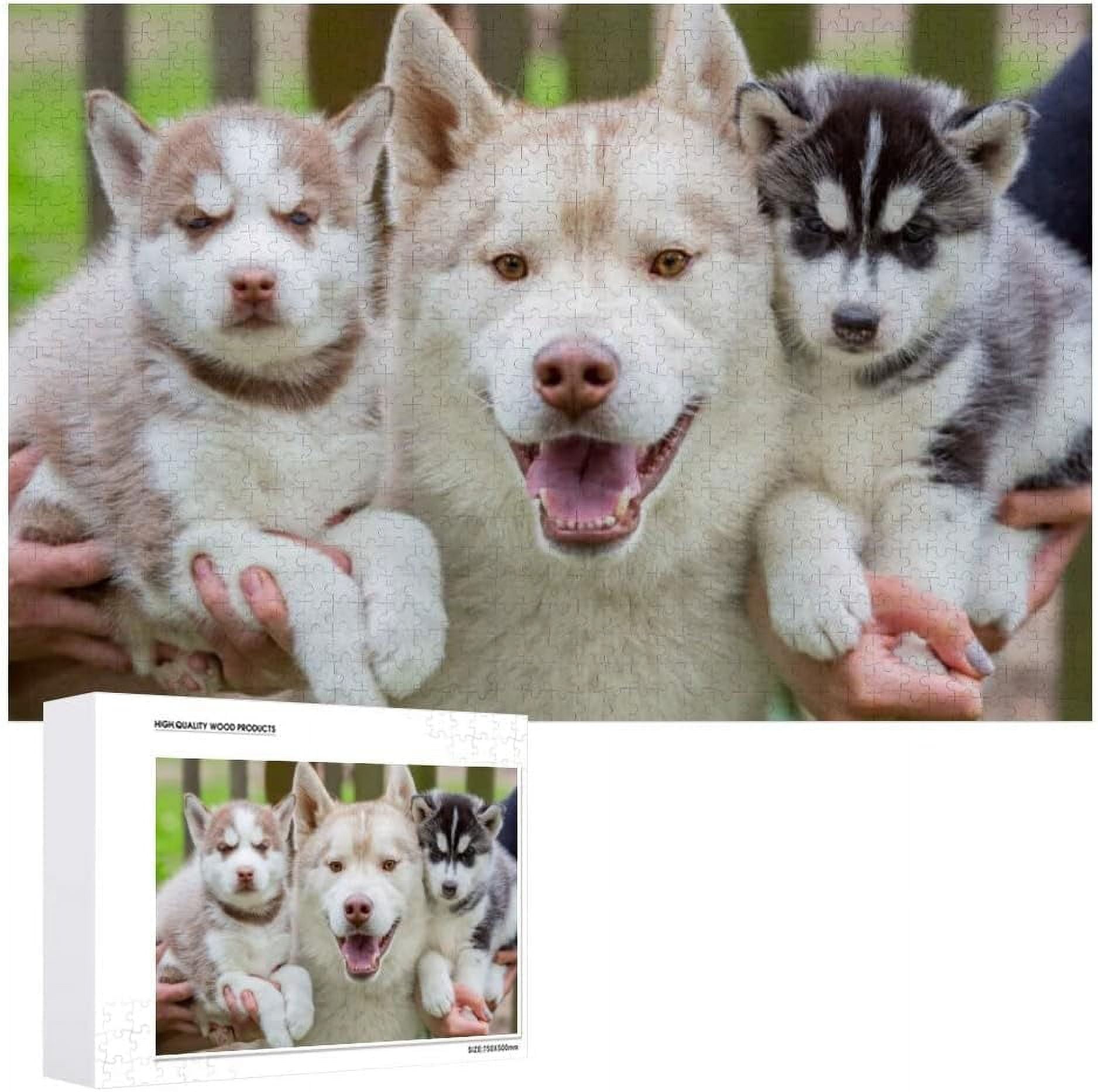 Dreamtimes Wooden Jigsaw Puzzles 1000 Pieces Smiling Mother Husky and ...