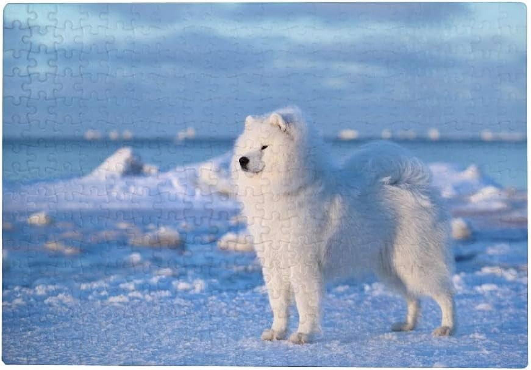Dreamtimes Wooden Jigsaw Puzzles 1000 Pieces White Dog Samoyed Stand ...