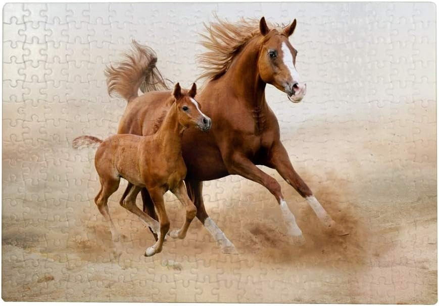 Dreamtimes Wooden Jigsaw Puzzles 300 Pieces, Horse Running with Child ...