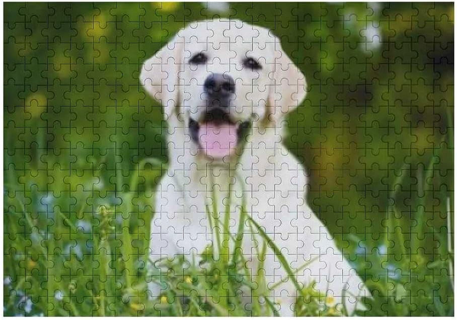 Dreamtimes Wooden Jigsaw Puzzles 300 Pieces, Labrador Retriever Dog ...
