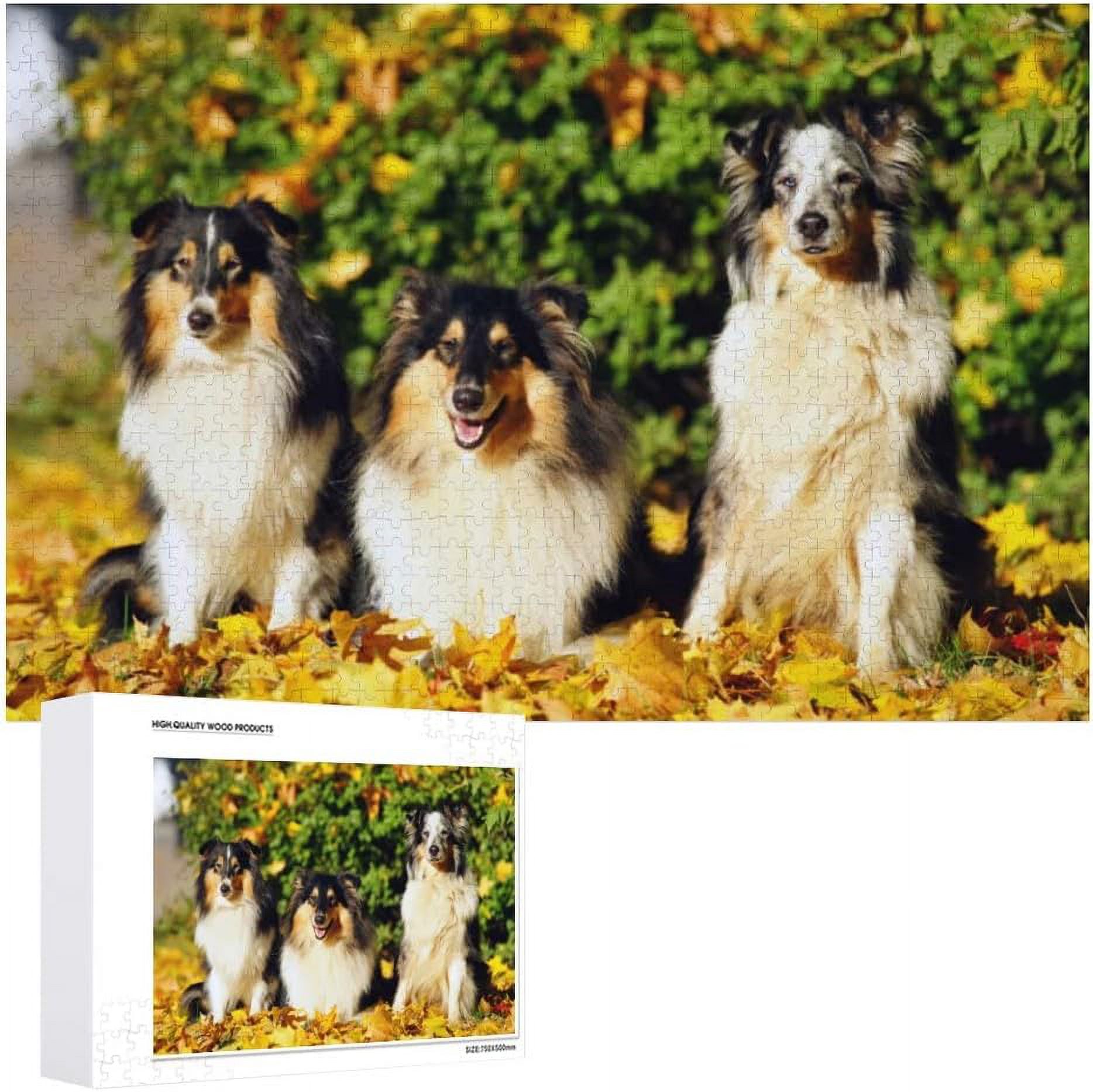 Dreamtimes Wooden Jigsaw Puzzles 500 Pieces Collie and Sheltie Dogs ...