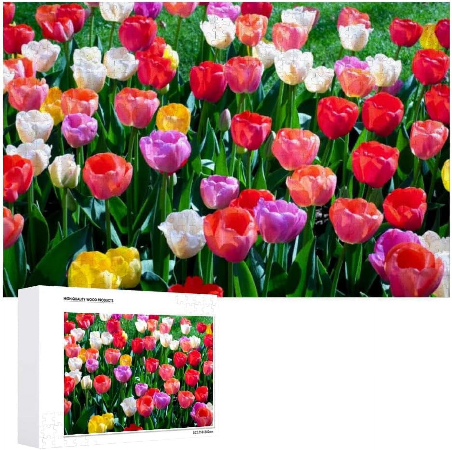 Dreamtimes Wooden Jigsaw Puzzles 500 Pieces Colored Tulips Field ...
