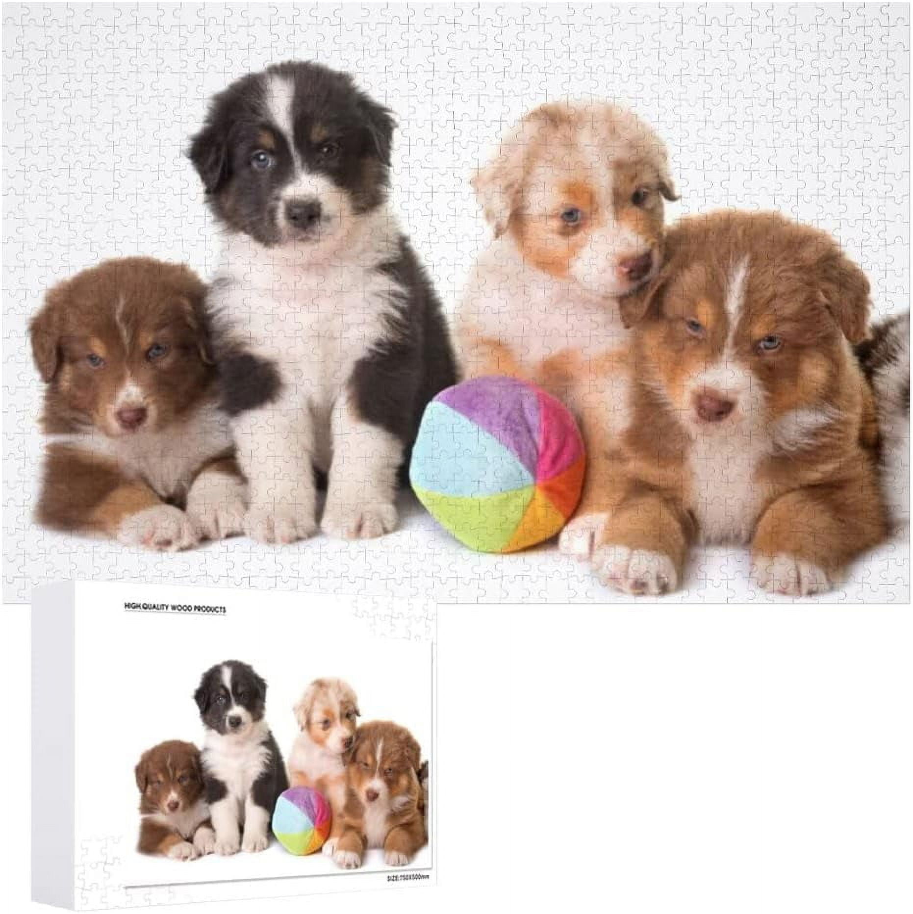 Dreamtimes Wooden Jigsaw Puzzles 500 Pieces Dogs with a Ball ...