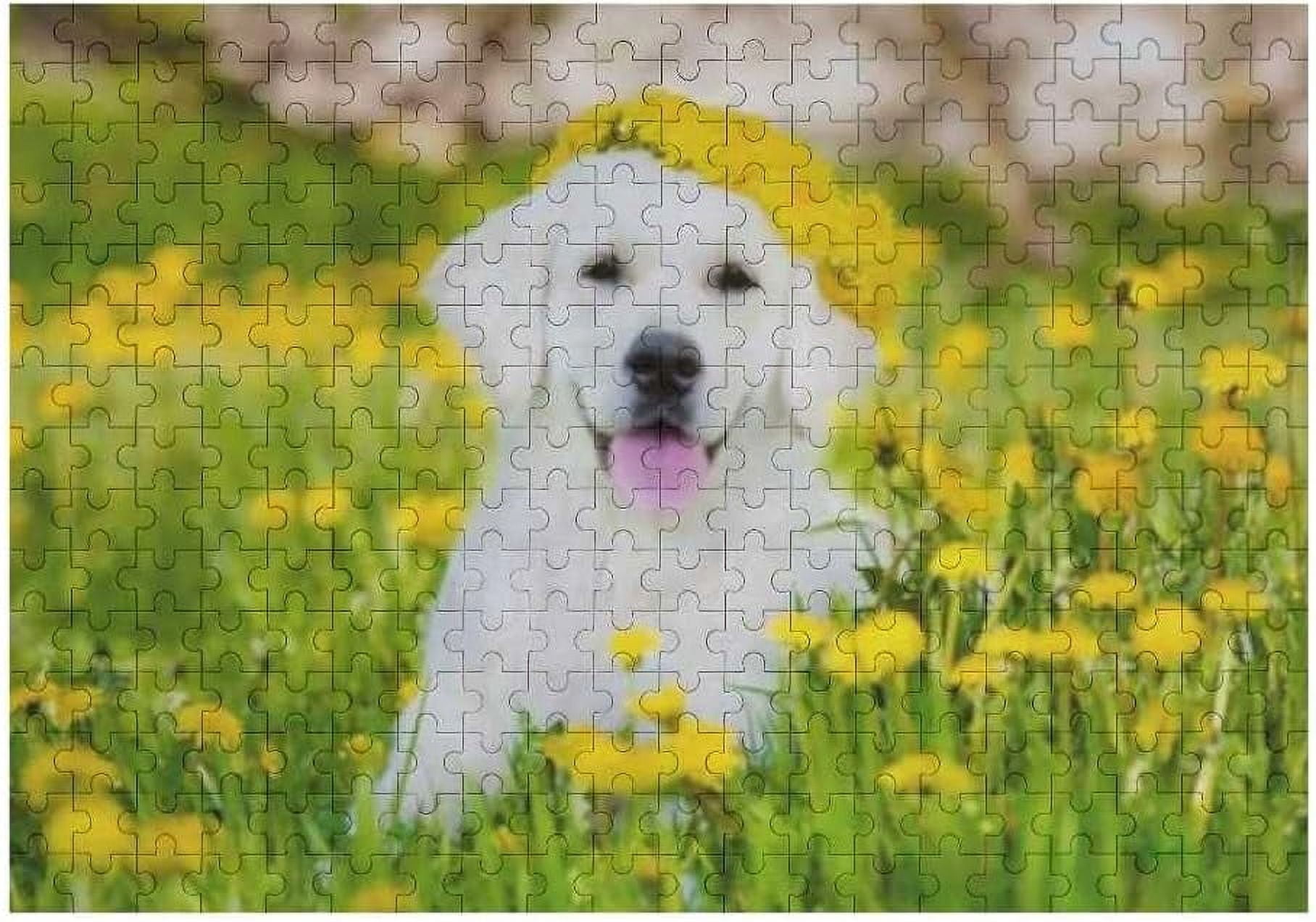 Dreamtimes Wooden Jigsaw Puzzles 500 Pieces Golden Retriever Dog in ...
