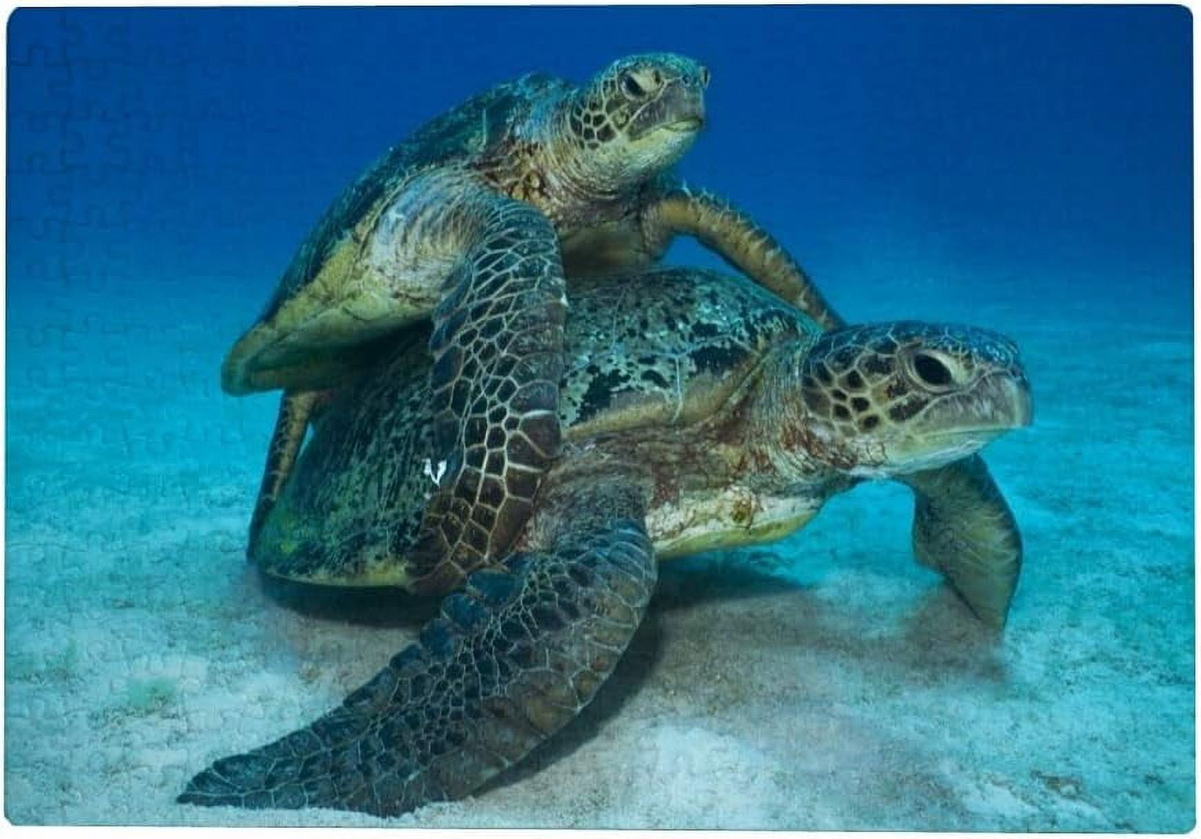 Dreamtimes Wooden Jigsaw Puzzles 500 Pieces Green Sea Turtle Couple ...