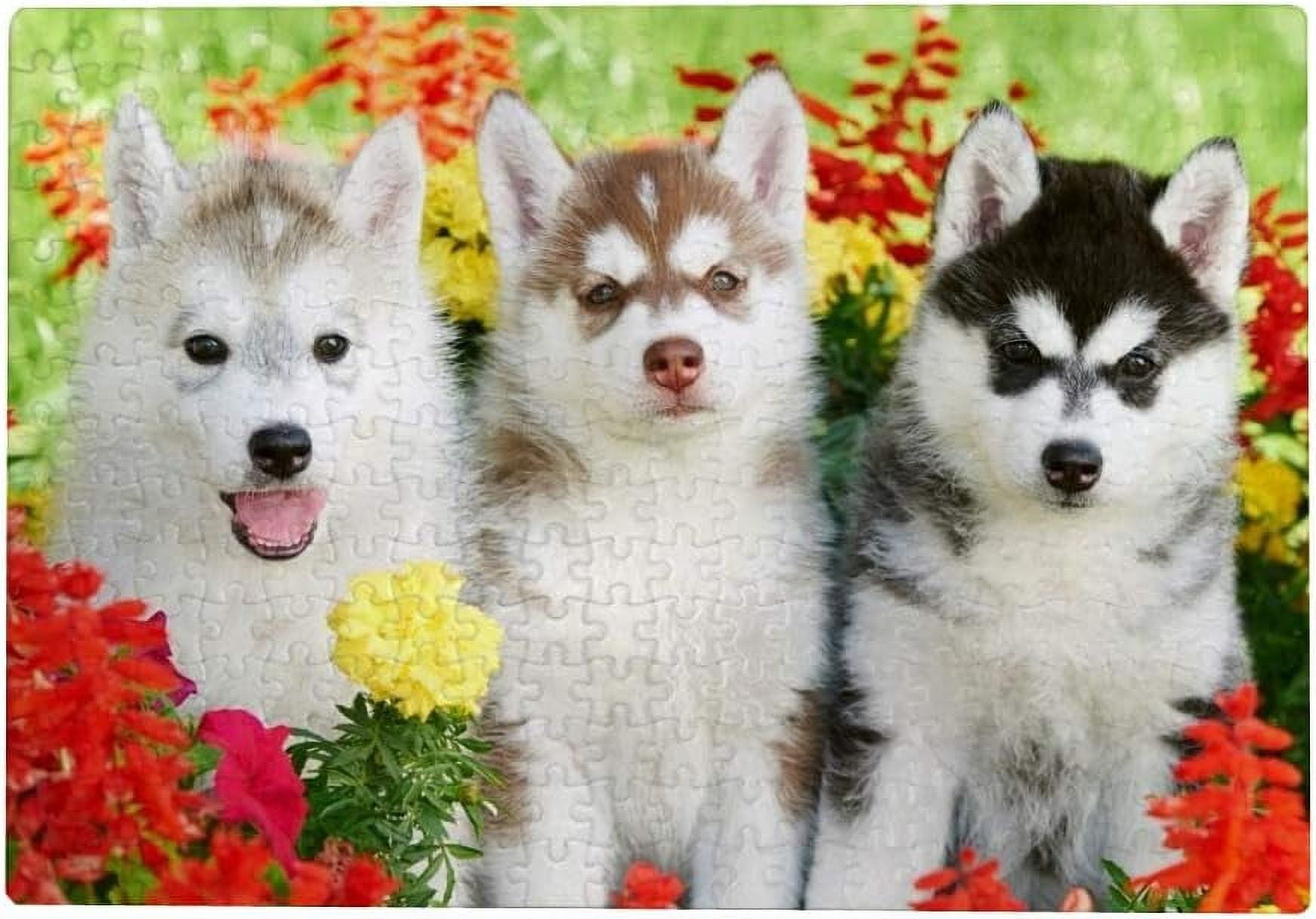 Dreamtimes Jigsaw Puzzles Artwork Gift for Adults Teens Group of ...