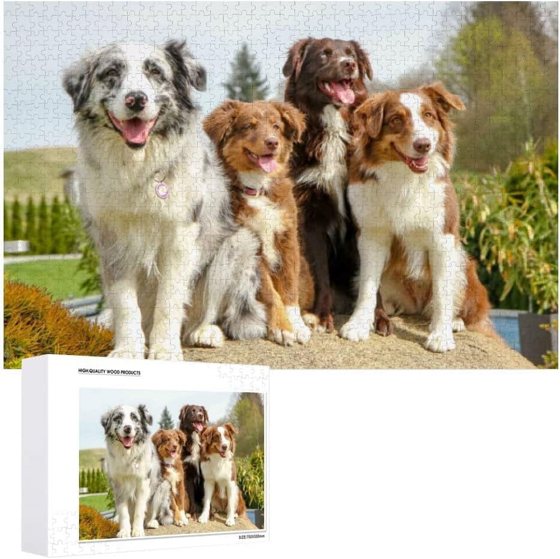 Dreamtimes Wooden Jigsaw Puzzles 500 Pieces, Happy Australian Shepherds ...
