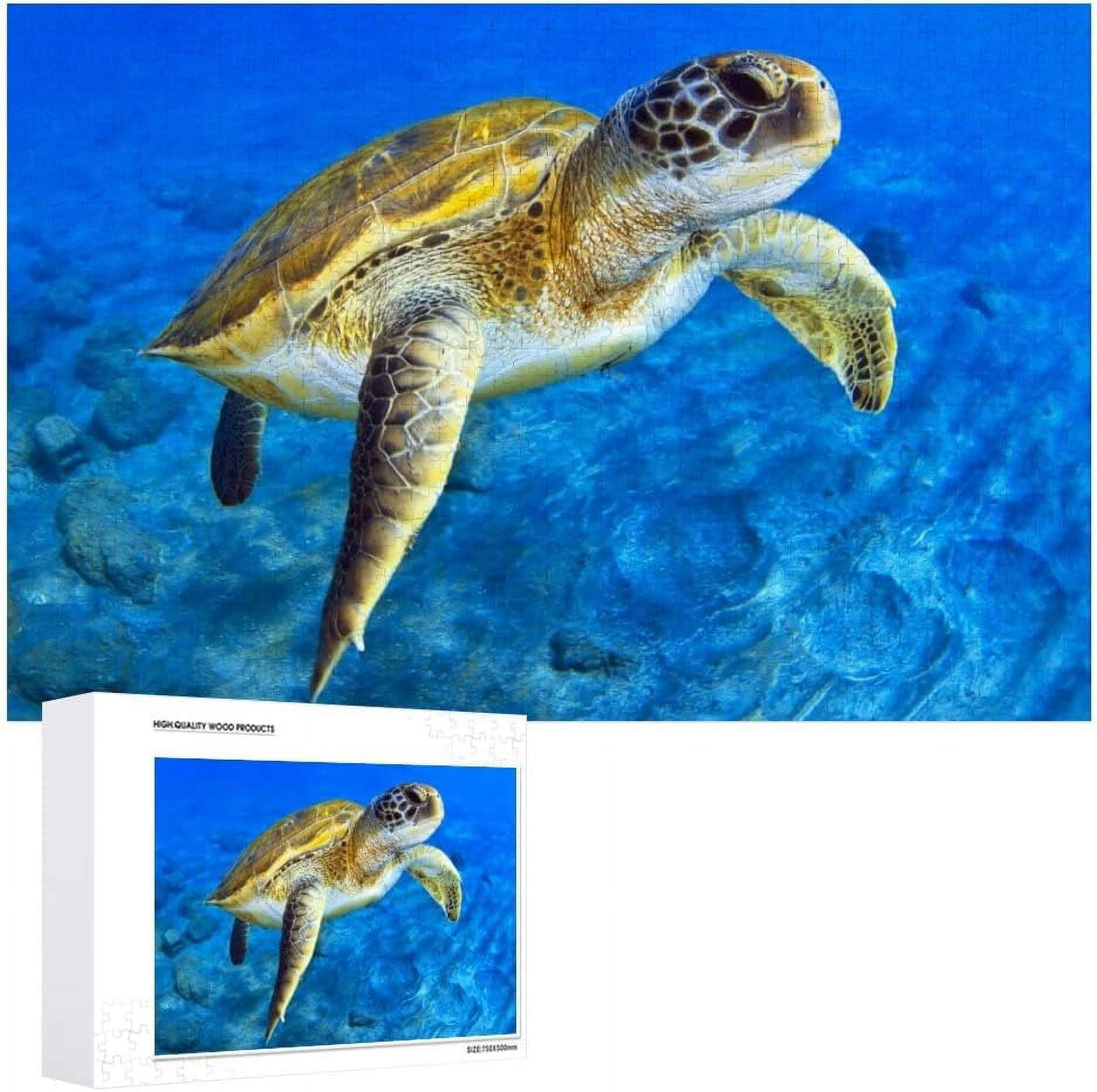 Dreamtimes Wooden Jigsaw Puzzles 500 Pieces Turtle Under Sea Water ...
