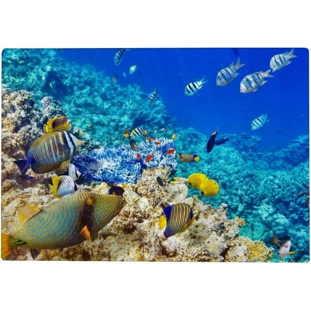 Dreamtimes Wooden Jigsaw Puzzles 500 Pieces Underwater Corals Tropical ...
