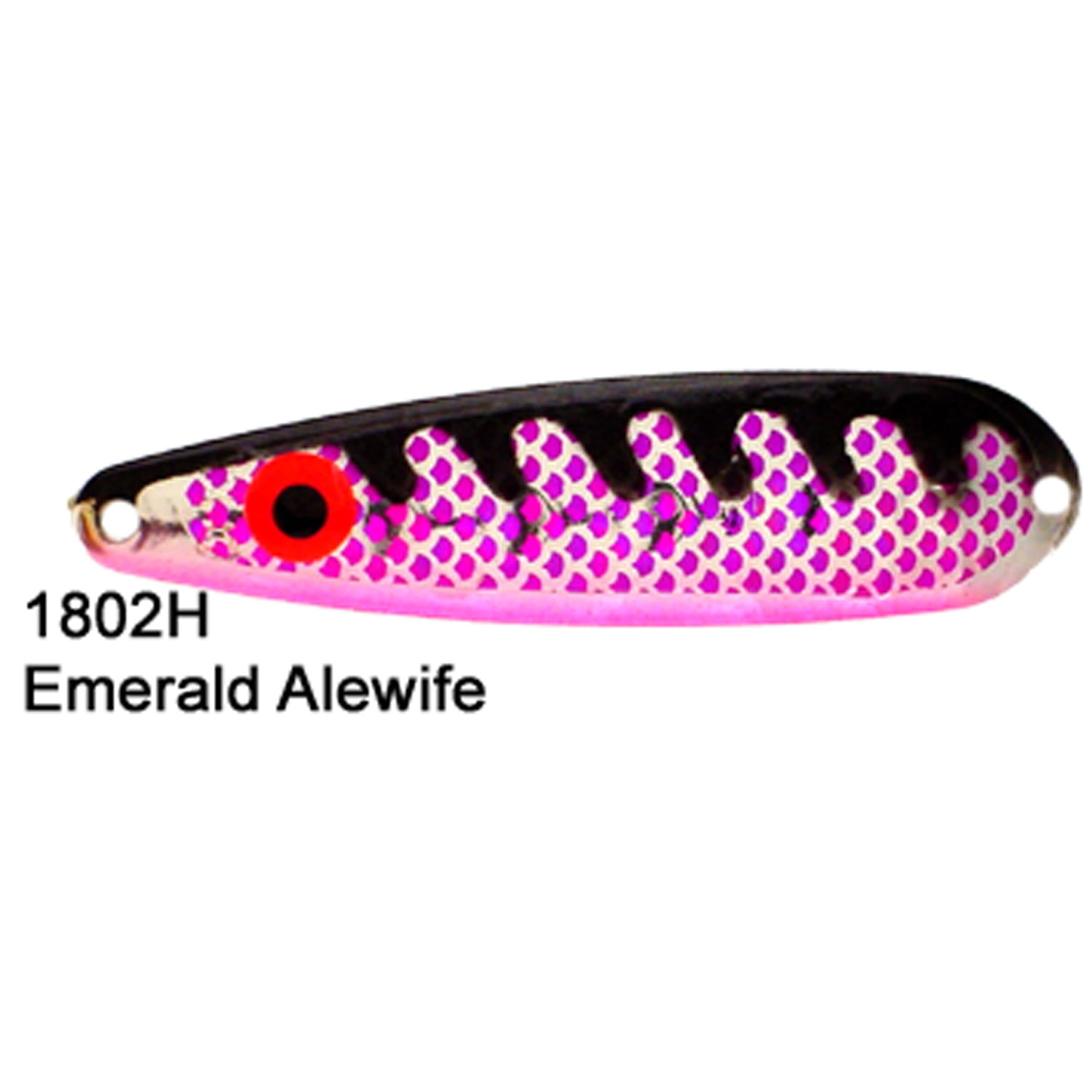 Dreamweaver Lures Trolling Holo Alewife Fishing Spoon Lure - Walmart.com