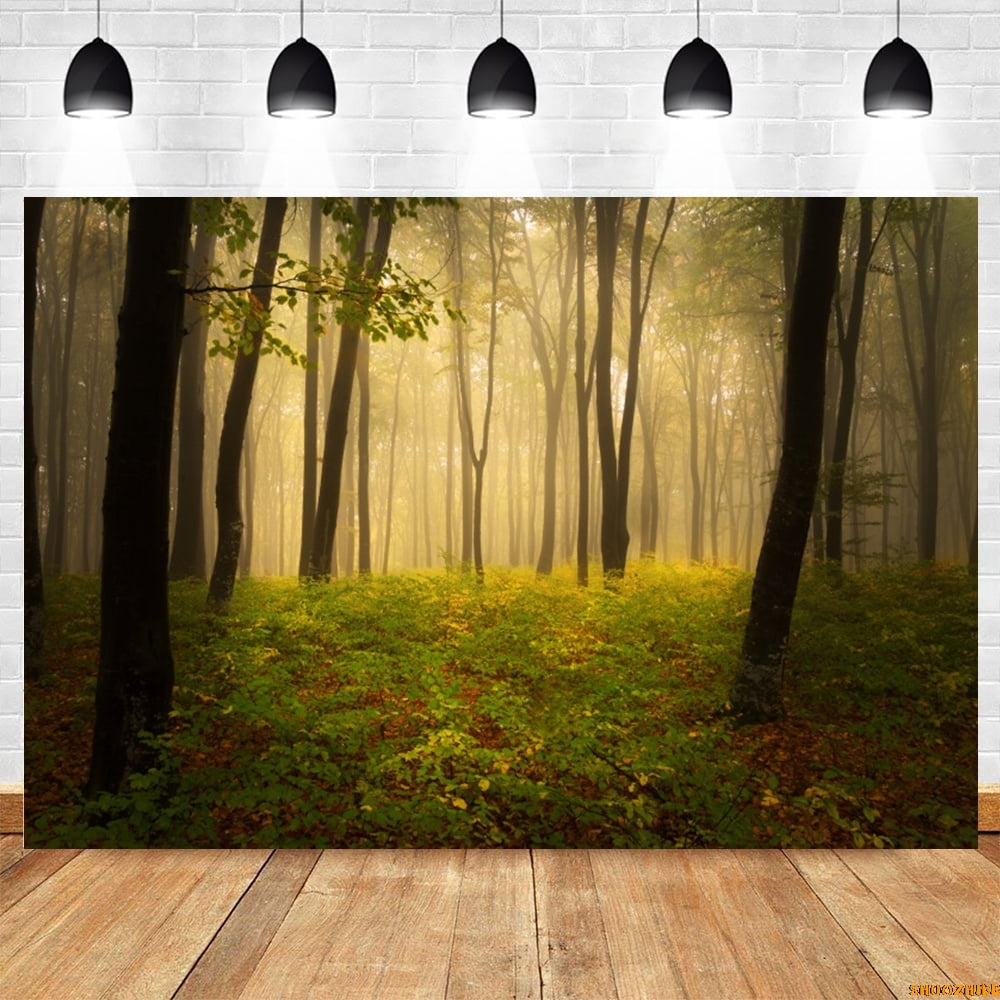 Dreamy Enchanted Forest Photography Backdrop Mushroom Butterfly Lights ...