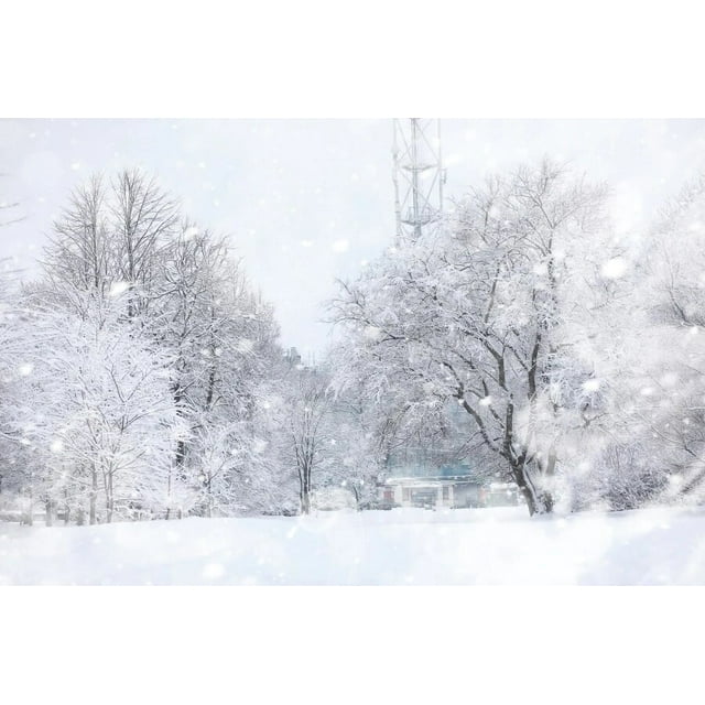 Dreamy Forest Snowflake Background Winter Landscape Snow Covered Pine ...