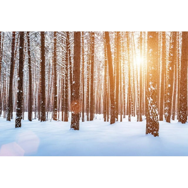 Dreamy Forest Snowflake Background Winter Landscape Snow Covered Pine Tree Mountain Adults ...