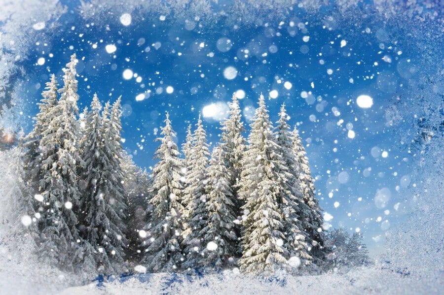 Dreamy Forest Snowflake Background Winter Landscape Snow Covered Pine ...