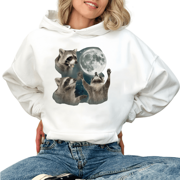 Dreamy Night Sky Raccoon & Full Moon Interaction Theme Graphic ...