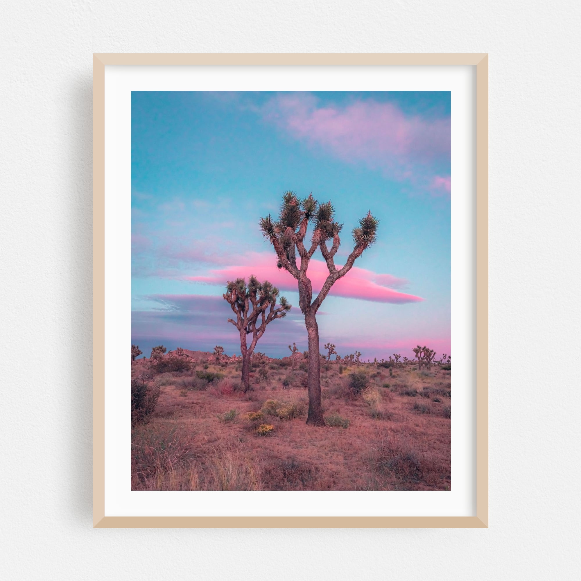 Dreamy Pastel Sunset in Joshua Tree - Joshua Tree California ...