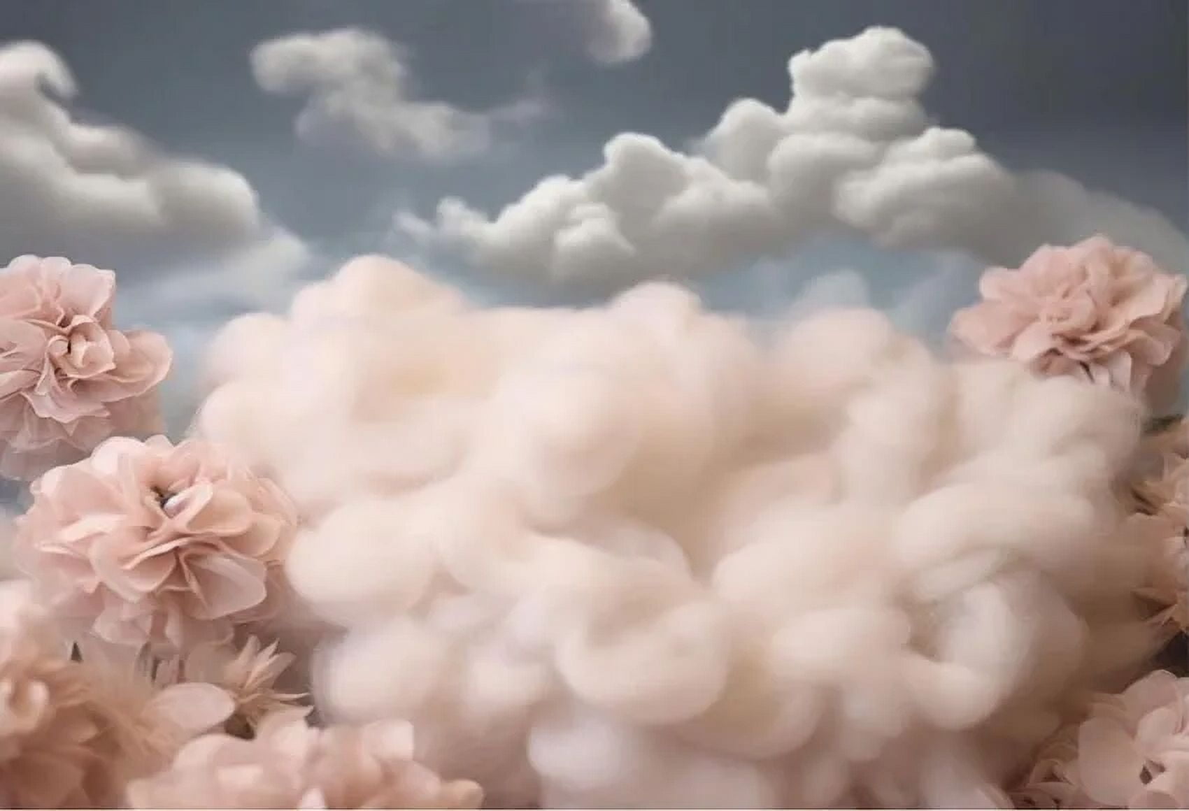 Dreamy Pink Clouds Newborn Baby Birthday Party Cake Smash Portrait r ...