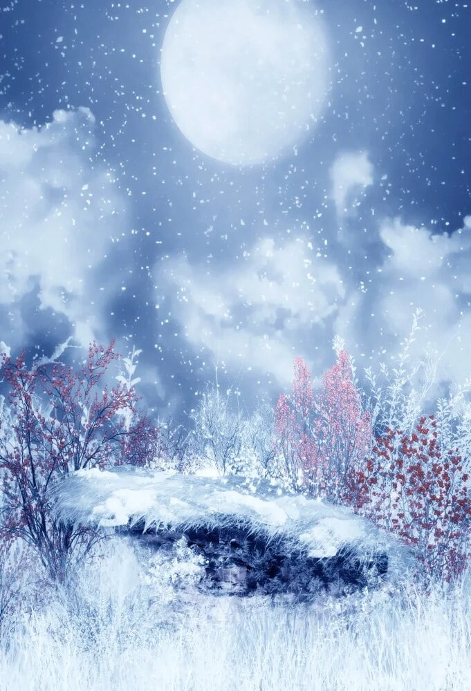 Dreamy Wonderland Orient Style Cloudy Moon Party Decor Baby Scenic ...