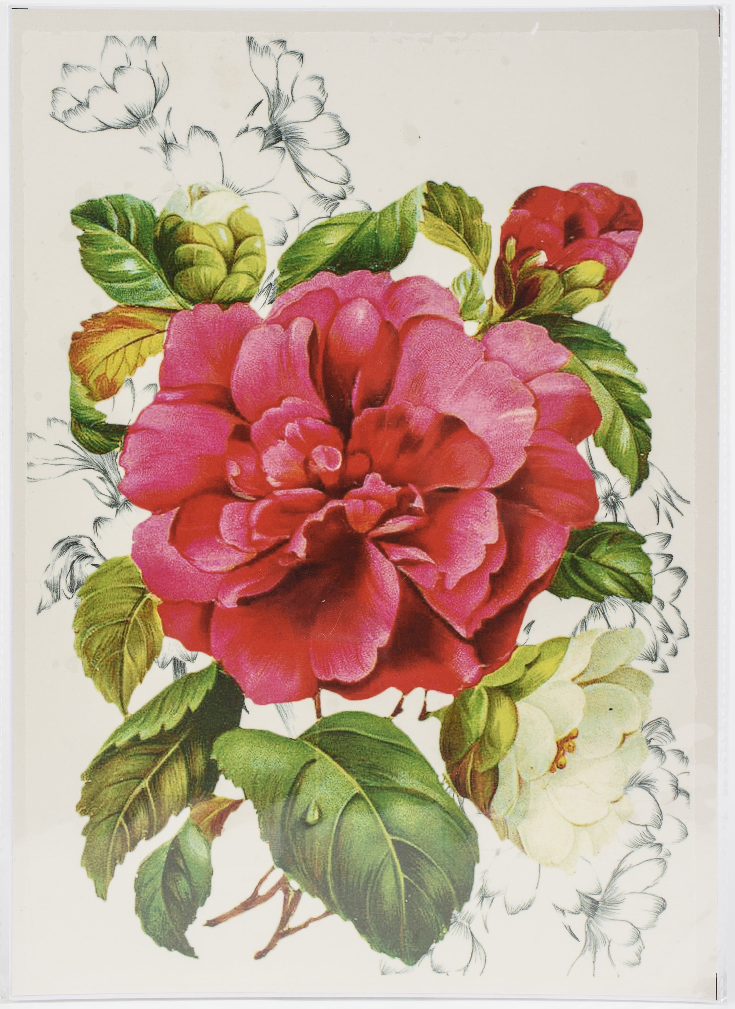 Dress My Craft Transfer Me Sheet A4-Pink Blossom - Walmart.com