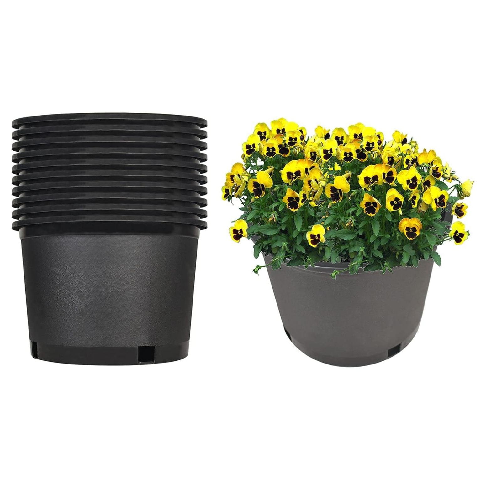 Drevy 10-Pack 2 Gallon Squat Premium Black Nursery Pot Plant Container ...