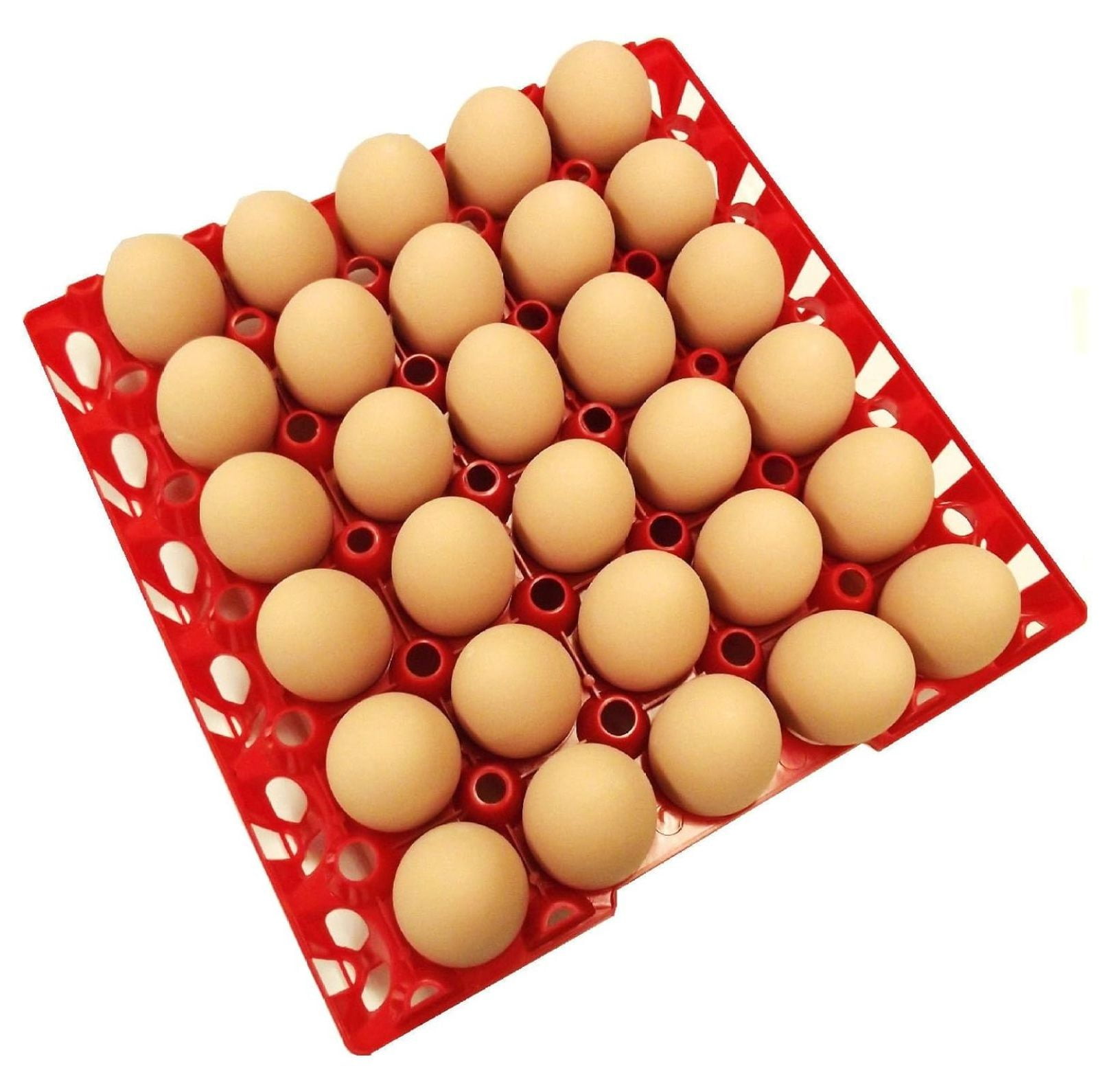 Drevy 12 30 Egg Chicken Trays Shipping Carton Poultry Flat - Walmart.com