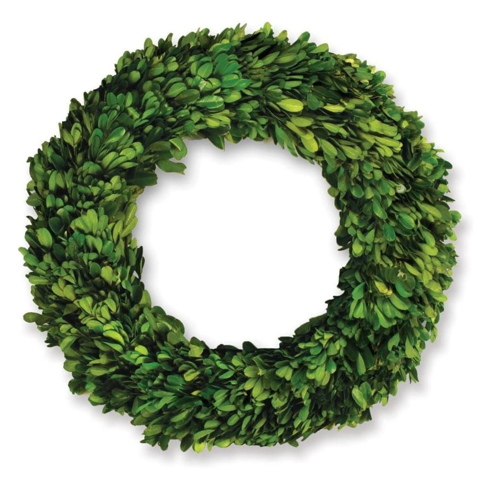 Drevy 12-inch Preserved Boxwood Wreath - Walmart.com