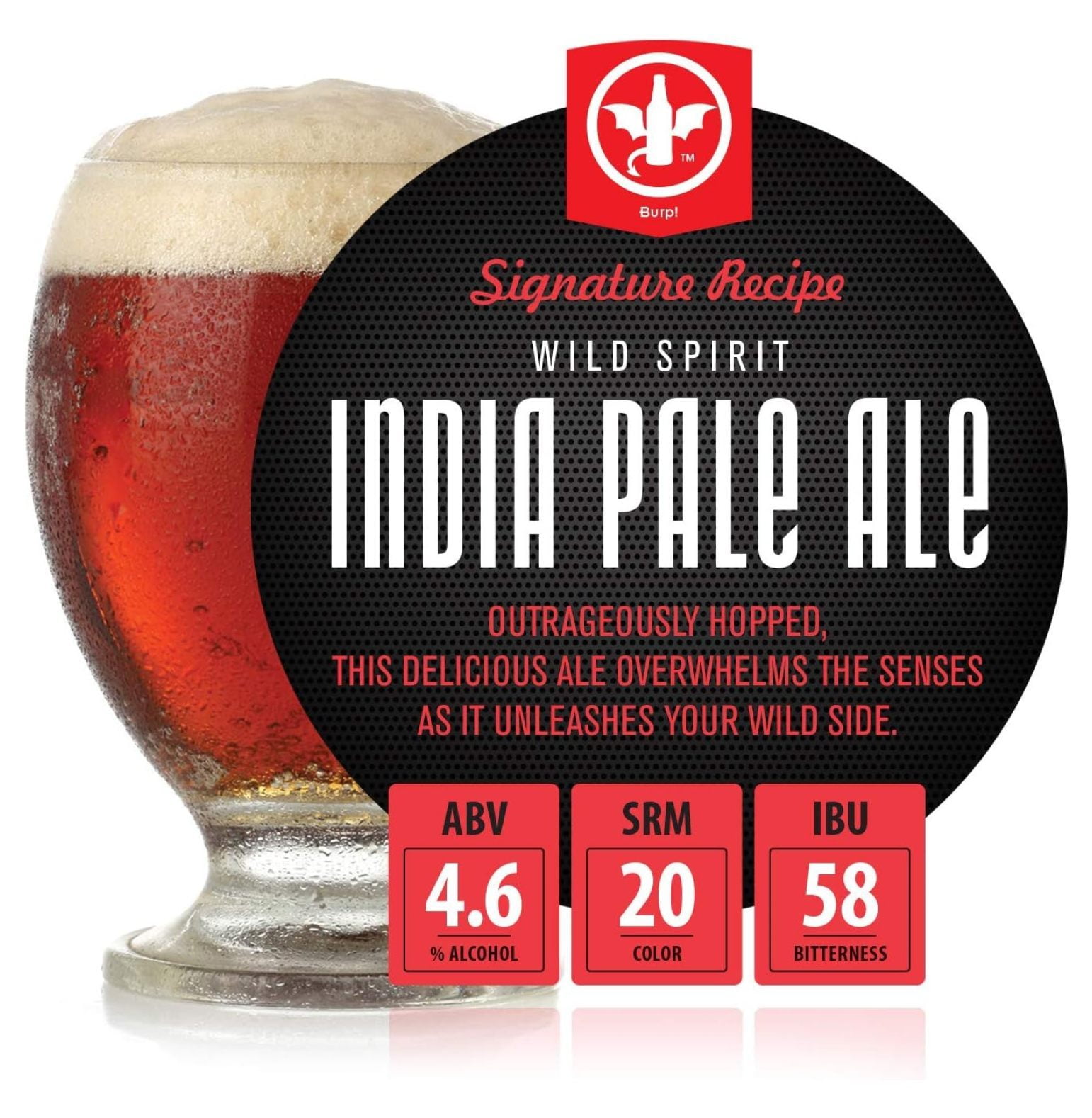 Drevy 2 Gal. Wild Spirit IPA Beer Recipe Kit - Makes a Wicked-Good 4.6% ...