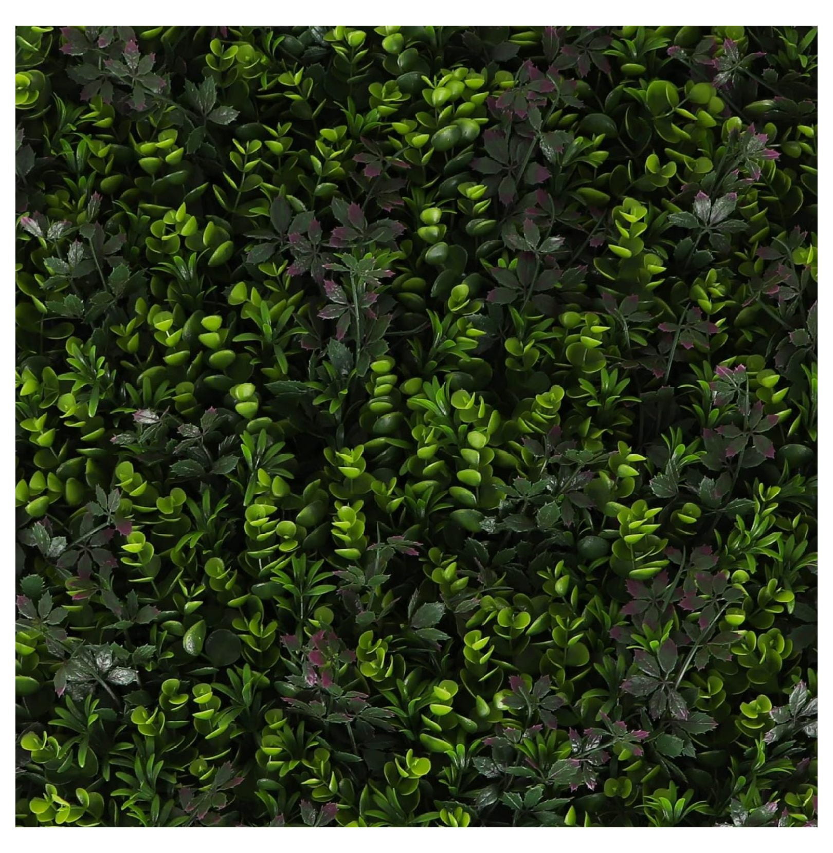 Drevy Greenery Panel - Artificial Hedge Wall - Fake Plant Wall Backdrop ...