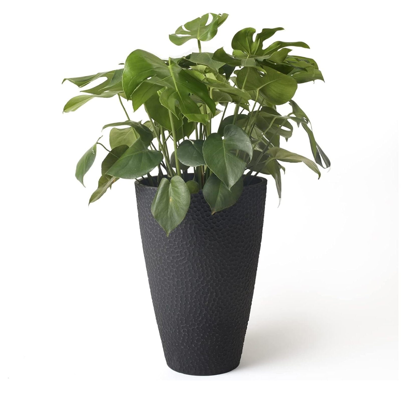 Drevy Large Outdoor Tall Planter - 20 Inch Tree Planter, Plant Pot ...